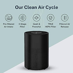 94 HEPA Air Purifier | Quickly Reduces Dander, Dander, Dust, Smoke, Pollen | Whisper Quiet Operation with 3 Stage Air Filtration | 705 Sq Ft of Clean Air | 1 Year Warranty