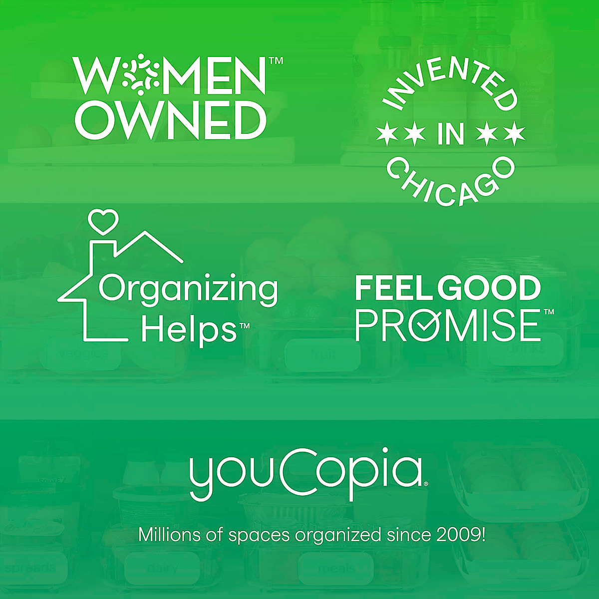 YouCopia RollOut Fridge Caddy, 6" Wide, Pack of 2, Clear