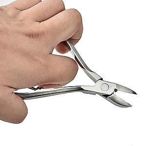 Piglet Teeth Cutter, 12cm/4.7in Stainless Steel Tooth Cutter Scissor Pig Tooth Nipper Piglets Teeth Clipper