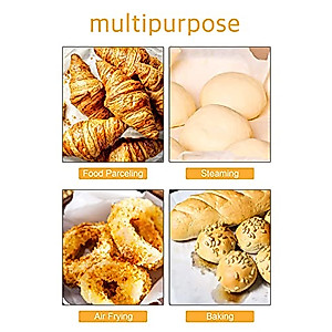 100Pcs Parchment Paper Sheets 12 x 12 inch for Ninja Air Fryer, Nonstick Sheet Pan, Roast Tray, Air Fryer Oven Liners for Bottom Food-Safe Baking Parchment Mat for Ninja Foodi SP101 SP201 SP301