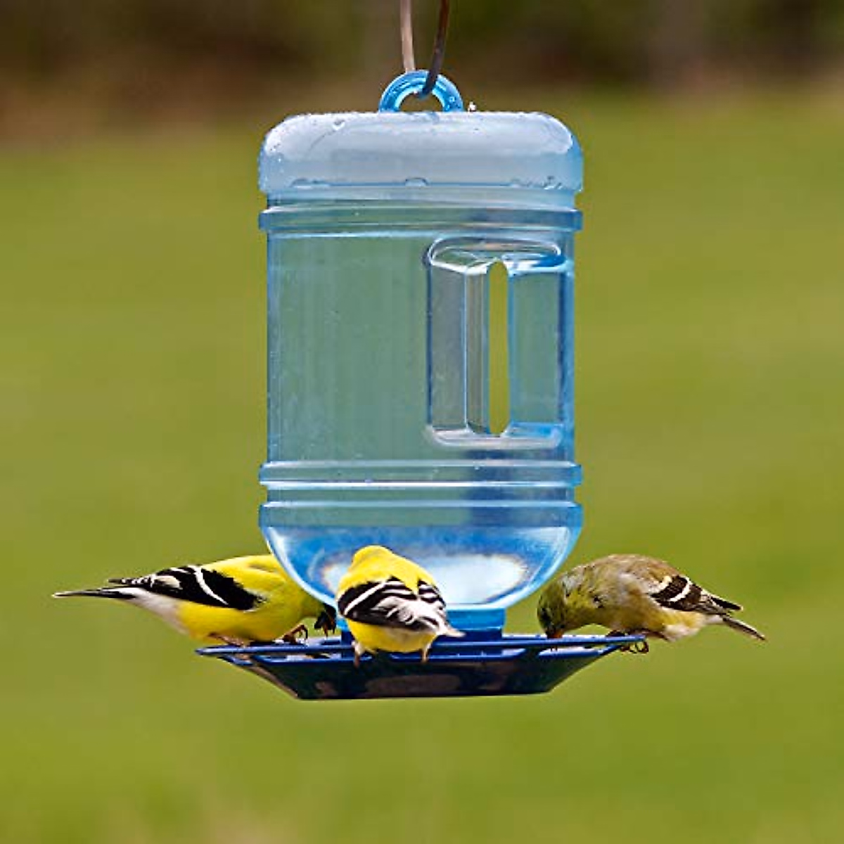 Perky-Pet 780 Outdoor Hanging Water Cooler Bird Waterer and Dispenser,Blue, 1.5 Qt Capacity