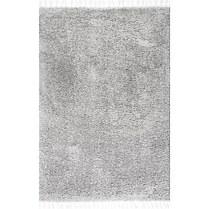 nuLOOM Neva Modern Tasseled Shag Area Rug, 4x6, Grey