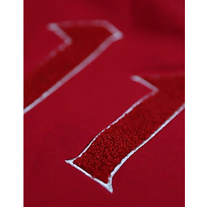 Kappa Alpha Psi M6 Pullover Hoodie [4XL] Crimson Red