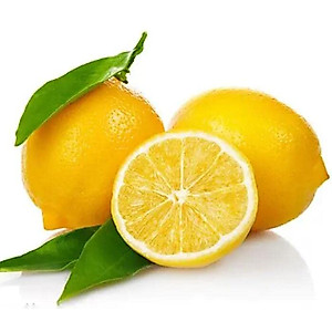 Bergamot Orange Citron Lemon Tree Live Starter Plant Seeding, 15-17 inch Height Lemon Fruit Tree Great for Home and Garden Yards Planting