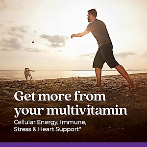 New Chapter Men's Multivitamin for Immune, Stress, Heart + Energy Support with Fermented Nutrients - Every Man's One Daily, Made with Organic Vegetables & Herbs, Non-GMO, Gluten Free - 72 ct