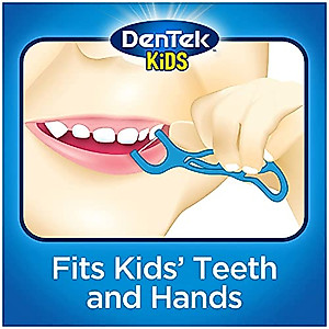 DenTek Kids Fun Flossers, Wild Fruit, 90 Count