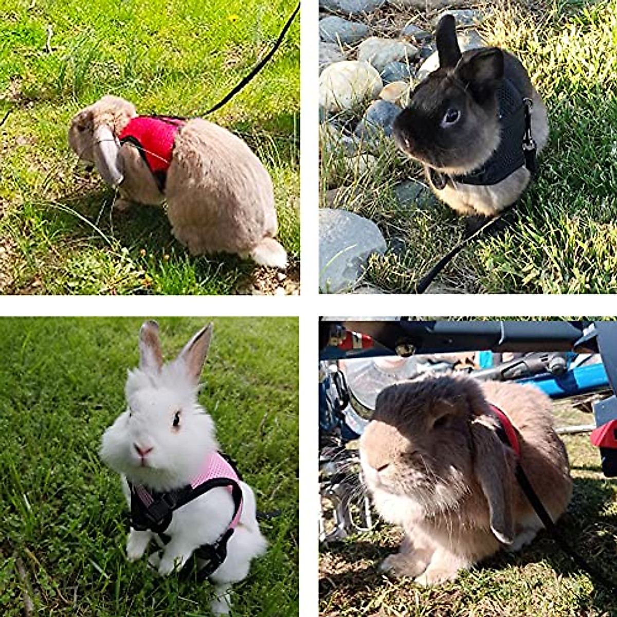 Pettom Bunny Rabbit Harness with Stretchy Leash Cute Adjustable Buckle Breathable Mesh Vest Harness and Leash Set for Kitten Small Pets Holland Lop Bunnies Walking (S(Chest:10.8-12.9 in), Pink)