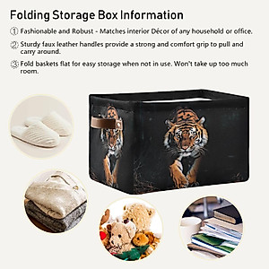 YETTASBIN Tiger Storage Basket 1pc, Large Collapsible Toys Clothes Organizer, Durable Canvas Storage Bin with Handle for Shelves Closet Laundry Home Office Decor