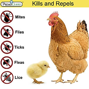 Poultry Spray by Premo Guard – Treat Mites, Fleas, Flies, and Lice – Fast Acting & Effective – Chicken, Turkey, Waterfowl, and Birds – Best Natural Protection for Control & Prevention – 32 oz