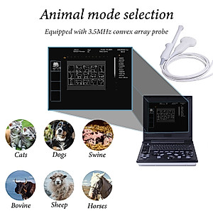 Veterinary B-Ultrasound Machine, Portable Laptop Scanner with 3.5 MHz Micro Convex ​Probe, with 5 Kinds of Pseudo Color and 12-Inch TFT Color Screen, for Cat Dog,Goat,Cow and Pig Pregnancy Tests