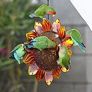 Wild Bird Feeder - Metal Bird Feeders, Sunflower Hanging Bird Feeder, Bird Seeds for Outside Wild Birds Patio & Garden Outdoor Decoration