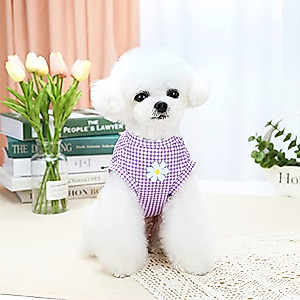 3 Pcs Tikwek Dog Clothes for Small Dogs Girl, Puppy Sleeveless Vest，Summer Pet Outfits, Printed Dog T-Shirts，Cute Cool Sweatshirt(flower2,M)