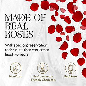 GLAMOUR BOUTIQUE Forever Flower Gift Box: 12 Real Preserved Roses in Round Velvet White Box, Handmade, Rose Petals, Birthday, Marriage,Anniversary, Graduation - Red