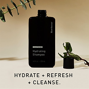 Hawthorne Men's Daily Hydrating Shampoo. For Stronger, Healthier Hair with Pure Argan Oil and Coconut Oil. Mint and Eucalyptus Scent. Sulfate Free, Paraben Free. 8 fl. oz.