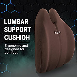 Achiou Lumbar Support Pillow for Office Chair, Back Support Pillow for Back Pain Relief, Car Seat Computer Gaming Chair Pad, Memory Foam Back Cushion, Improve Posture Cushion