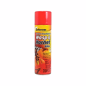 Enforcer Wasp & Hornet Killer