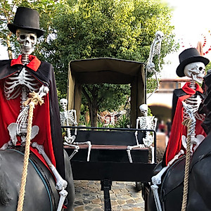 2Packs 5.4ft Halloween Human Skeletons Life Size Full Body Bones with Movable Joints for Halloween Props Spooky Party Decoration
