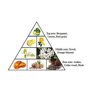 Al Harmain Neroli canvas by portfolio edp 2.5 oz 75 ml, Multi