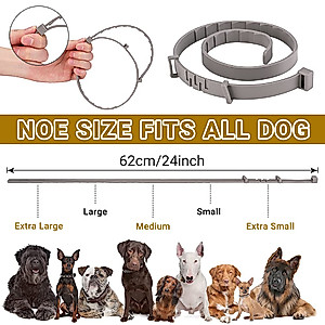 BUDOCI Flea Collar for Dogs,Flea and Tick Collar for Dogs,4 Pack Natural Flea & Tick Prevention for Dog, 24 Inch Collar for Large Small Dogs