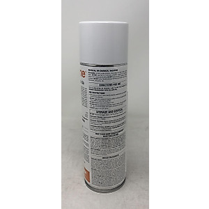 PT Alpine Flea & Bed Bug 14oz Aerosol + Disposable Gloves