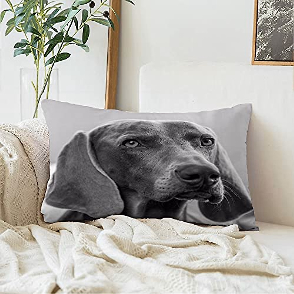Decorative Throw Lumbar Pillow Covers Velvet Themes Weimaraner Dog No Animals Pets Wildlife Black White Away One Canine Copy Space Plain Studio Cushion Cover for Sofa Couch Living Room Bed 12x20 Inch