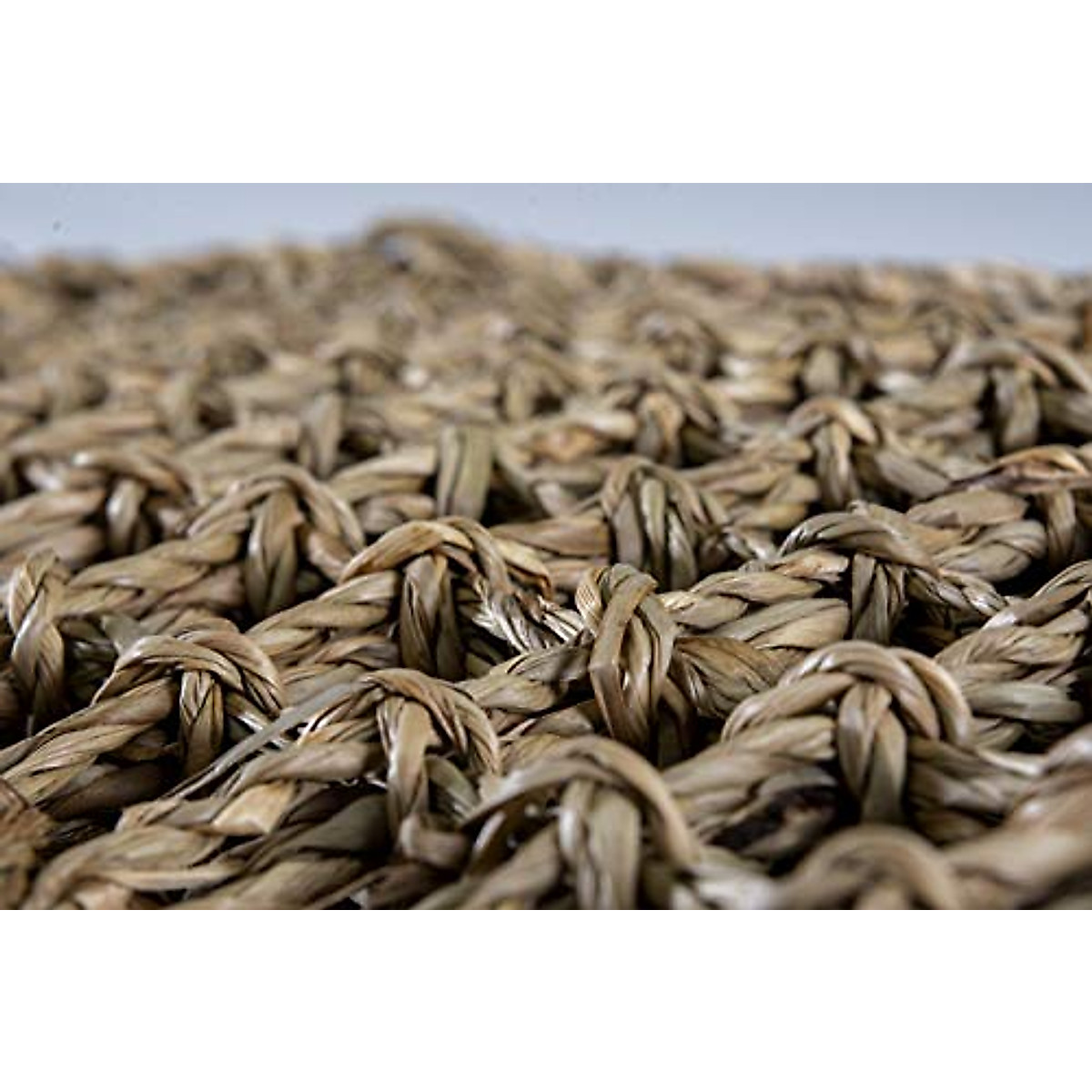 PENN-PLAX Reptology Lizard Lounger – 100% Natural Seagrass Fiber – Great for Bearded Dragons, Anoles, Geckos, and Other Reptiles – Extra Large