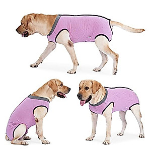 Dotoner Dog Recovery Suit Abdominal Wound Puppy Surgical Clothes Post-Operative Vest Pet After Surgery Wear Substitute E-Collar & Cone(L,Pink)