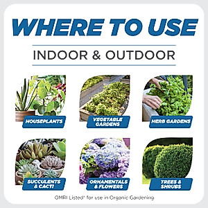 Earth's Ally Insect Control for Plants | Safe Outdoor & Indoor Plant Insecticide, Spider Mite, Aphid & Mealybug Killer - Effective Spray for Organic Garden & Household Plants, Ready-to-Use, 24oz