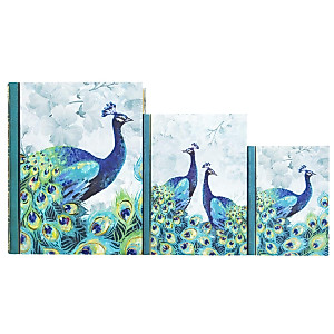 Punch Studio Book Box, Multicolored