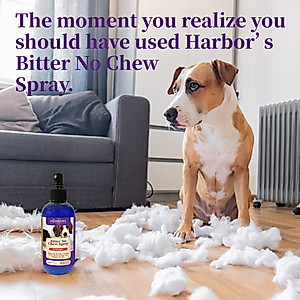Harbor's Bitter No Chew Spray | 3 X Strength Chewing Deterrent Spray | Anti Chew Behavior Training Aid | Stops Destructive Chewing and Licking of Shoes, Bandages, Paws, Fur & Furniture | Made in USA