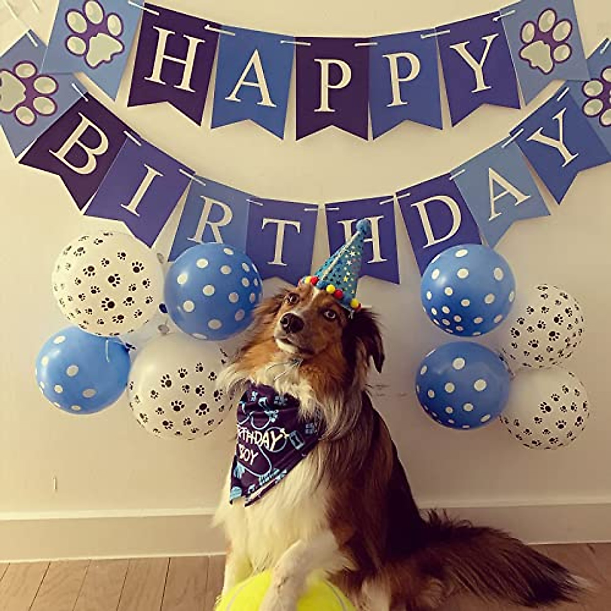 TCBOYING Dog Birthday Bandana, Dog Birthday Boy Hat Scarfs Flag Balloon with Cute Doggie Birthday Party Supplies Decorations(11-Piece Set) (Blue)