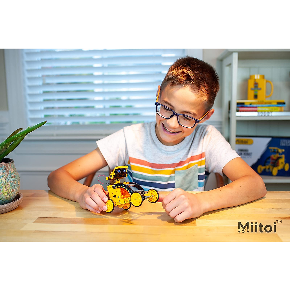 Miitoi 12 in 1 Solar STEM Robot Kit, Educational Building Gift Set,Science Experiment Set, Stem Projects for Kids Ages 8-12, Solar Robot Building Kit, Toys for Boys, Robot Toys
