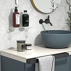 NPPLUS Acrylic Suction Cup Shelf, Tool Free Window Plant Shelves With Legs, 12 Inches Clear Acrylic Indoor Ledge Garden Stand with for Growing Herbs, Microgreens, Succulents,Etc.(1 Pack)