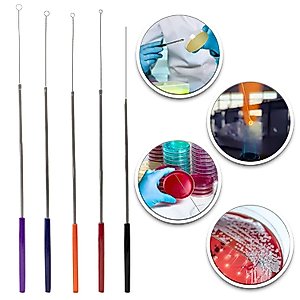 Scientific Labwares Reusable Inoculating Loops and Needle Set - Color-Coded Handle for Size Identification - Cell Streaking Lab Tools Perfect for Bacteria Cell Tissue Culture Lab