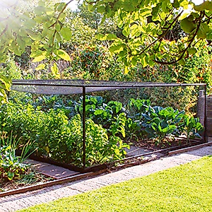 Bird Netting [Heavy Duty] 50’ x 50’ Garden Netting with 1" Square - Nylon Bird Net Chicken Coop Netting Poultry Netting Protect Fruit Tree Plant and Vegetables, Aviary Netting for Farm, Orchard