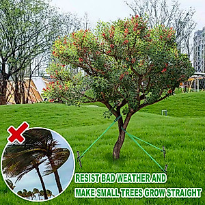 Guyuewey Heavy Duty Tree Stake Kits, Tree Stakes for Young Trees Straightening, Garden Tree Supports for Leaning Tree Outdoor, 3Pcs Tree Straps, 3Pcs Metal Stakes, 3Pcs Rope for Anchoring (1)