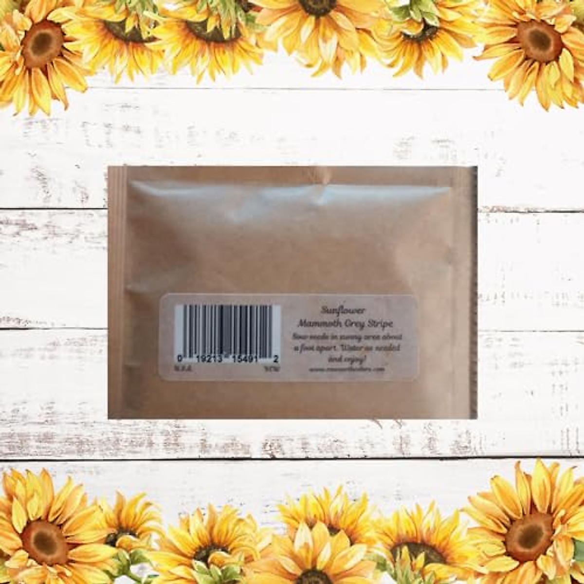 Sunflower Seeds for Planting to Plant Mammoth Sunflower Seeds Packet of About 100 Flower Seeds (Asteraceae Asterales Helianthus giganteus) !
