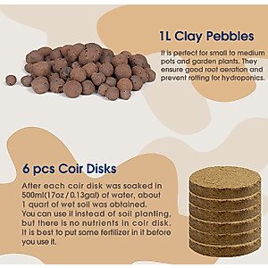 Kubvici 2 Pack 8 inch Planters