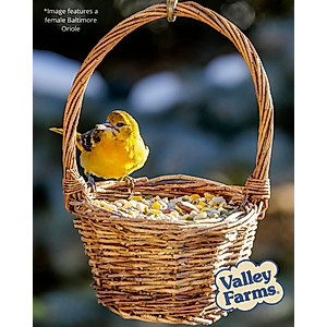 Valley Farms Woodpecker Mix Wild Bird Food, No Mess Bird Seed for Outdoor Feeders, W/Peanuts and Sunflower Hearts for Birds, Woodpecker Food, Attract All Bird Species (4 LBS)