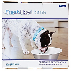 Petmate Fresh Flow Home Fountain, 50 oz
