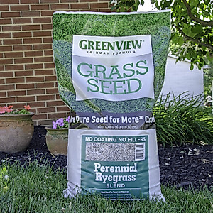 GreenView Fairway Formula Grass Seed Perennial Ryegrass Blend - 20 lb. Bag