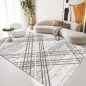 FINOREN Artistic Abstract Area Rug.Lines-Grey,4'x6', Suitable for Bedroom, Living Room, Apartment, Machine Washable Non-Slip Soft Modern Interior Rug,Smudge-Proof, Non-Shedding.