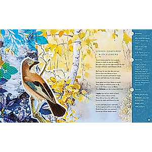 The Illustrated Robert Frost: 25 Essential Poems (The Illustrated Poets Collection, 2)