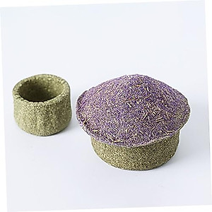 balacoo 1 Set Guinea Pig Accessories Toys Guinea Pig Treats Rat Supplies Chinchilla House Hedgehog Accessories Hideout for Small Animal Hedgehog Supplies Hamster pet House Timothy Grass