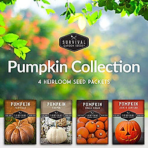 Survival Garden Seeds Pumpkin Collection Seed Vault - Non-GMO Heirloom Seeds for Planting Vegetables - Fairy Tale, Jack O'Lantern, Small Sugar Pumpkins for Growing in Your Vegetable Garden