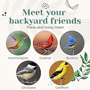 Skybox Window Bird Feeder Inside House - 180 Clear View of Birds Feeding - Bird Box Fits Windows 30-41 inches - Including Rain Cover Slide