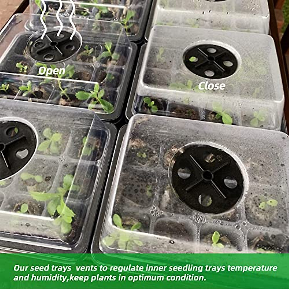 Anothera 30-Set Seed Starter Tray and Garden Propagator Kit (12 Cells Per Tray,Total 360 Cells) with Adjustable Humidity Dome and Base Greenhouse Grow Trays for Seeds Growing Starting（Dark Green）