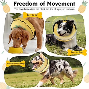 ipetstation Inflatable Dog Cone,Adjustable Comfy Alternative to Dog Donut Collar after Surgery, Dog Cone Collar for Small Medium Large Dogs with Removable Cover,Dual-Sided Pattern,Waterproof Fabric(L)