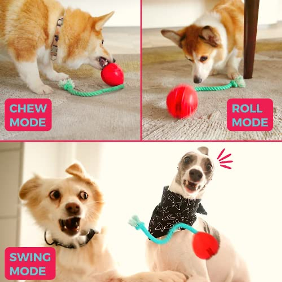 FOSSA Interactive Dog Toys, Crate Training Aids for Puppies, Puzzle Treat Dispenser with Rope