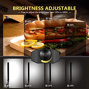 Neewer 3-Pack 60 LED Video Lighting Kit with Adjustable Brightness, 2.24 Meters Light Stand